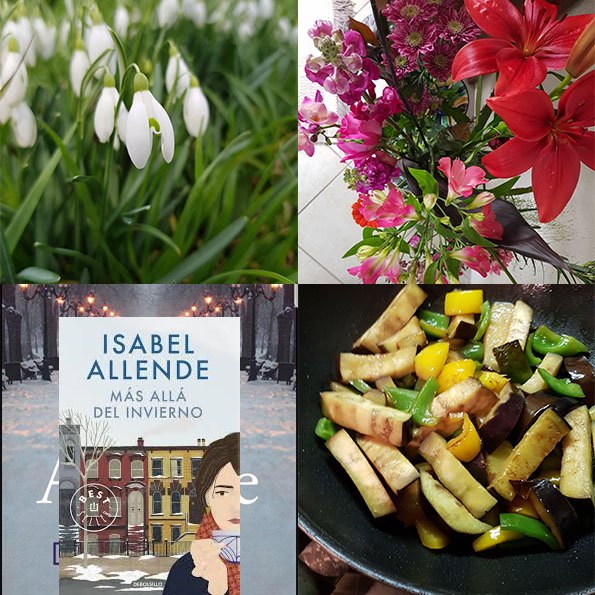 Culture and Language | Juan y Rosa - uitdagende leermethode